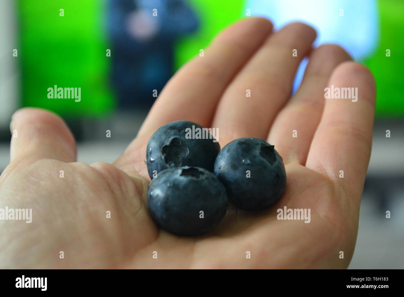Hand holds blueberry berries Stock Photo - Alamy