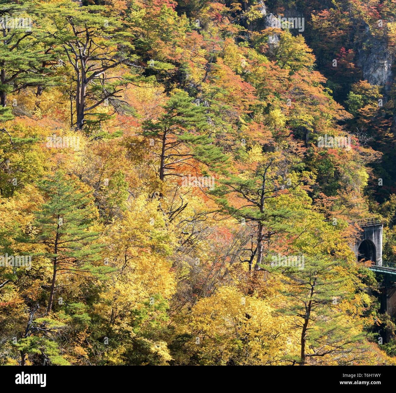 Naruko Gorge Miyagi Tohoku Japan Stock Photo - Alamy