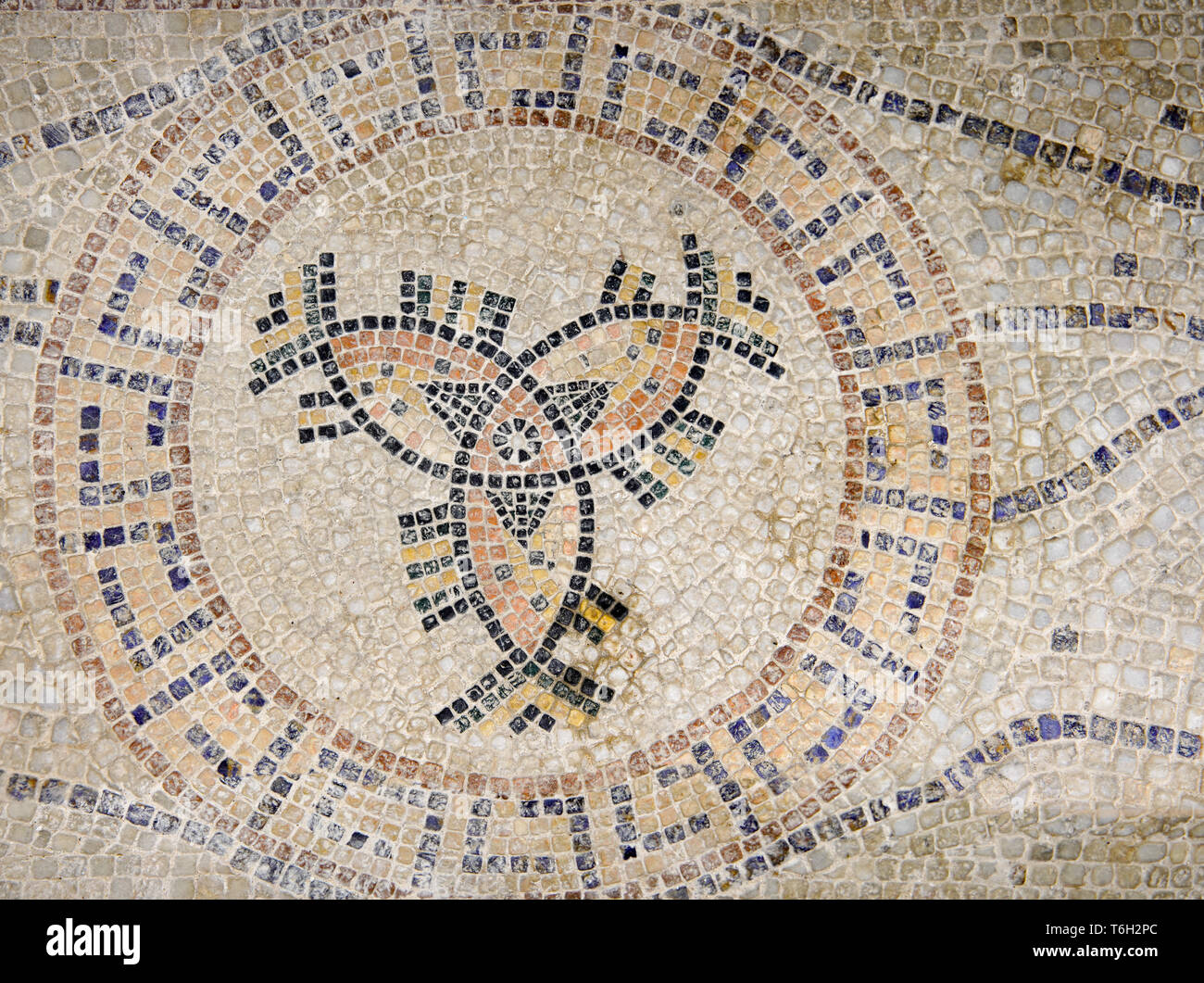 Fish floor Mosaic in front of Greek orthodox church of Saint John in ...