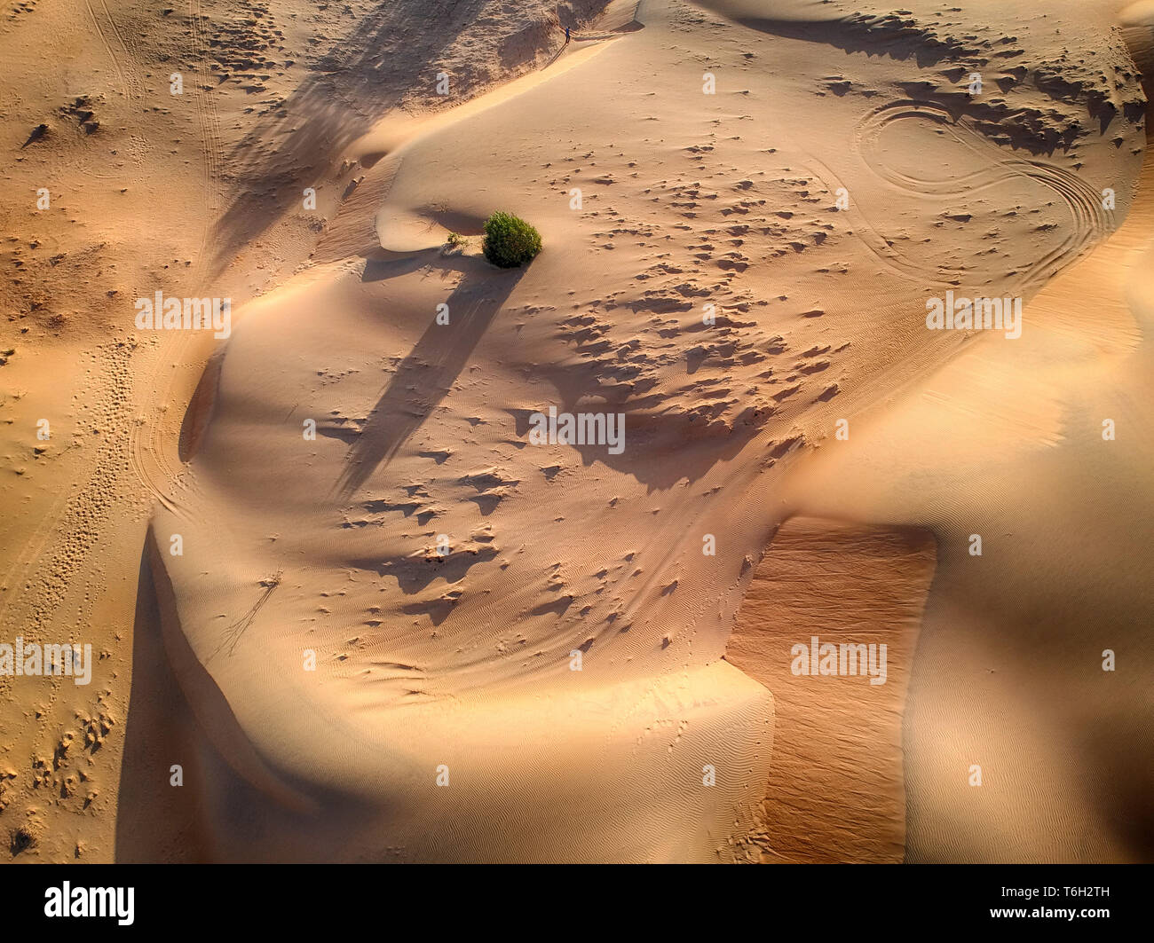 Top view of desert Lompoul in Africa, Senegal. There are desert dunes ...