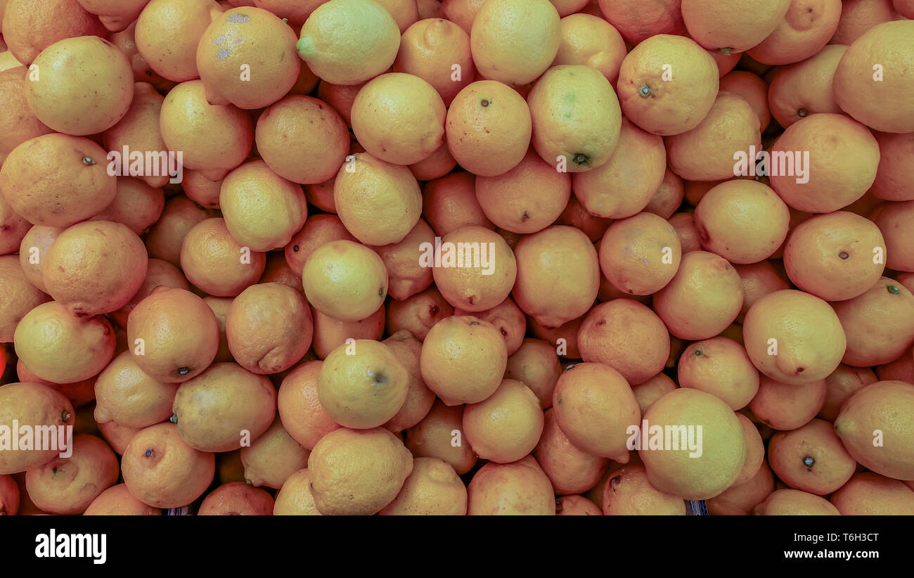 Grapefruit harvest. many grapefruit. grapefruits for food textures and ...