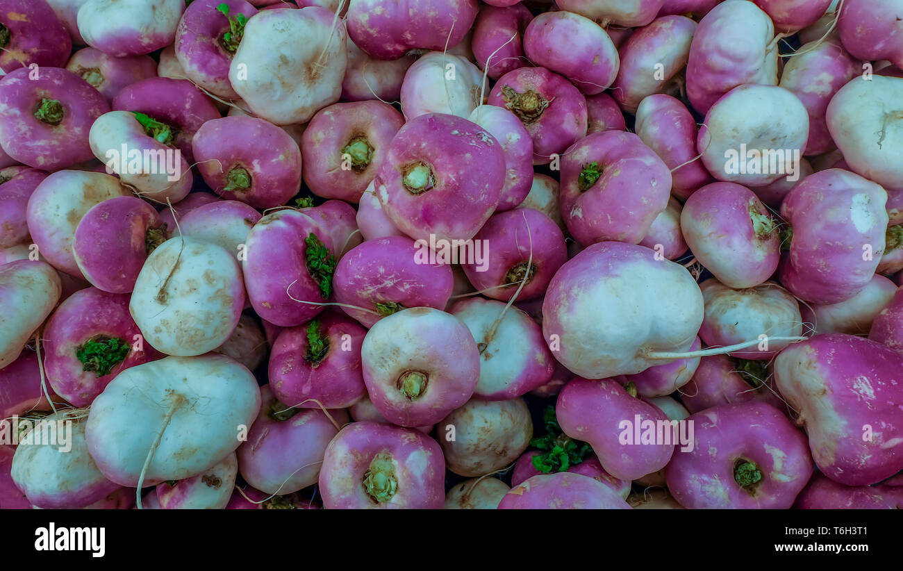 a bunch of loose turnips In market Suitable for making background ...