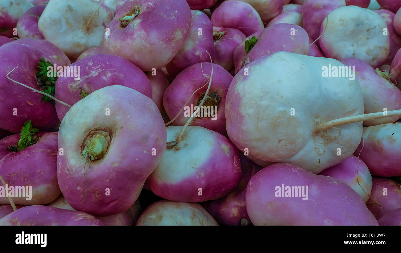 Bunch of market turnips hi-res stock photography and images - Alamy
