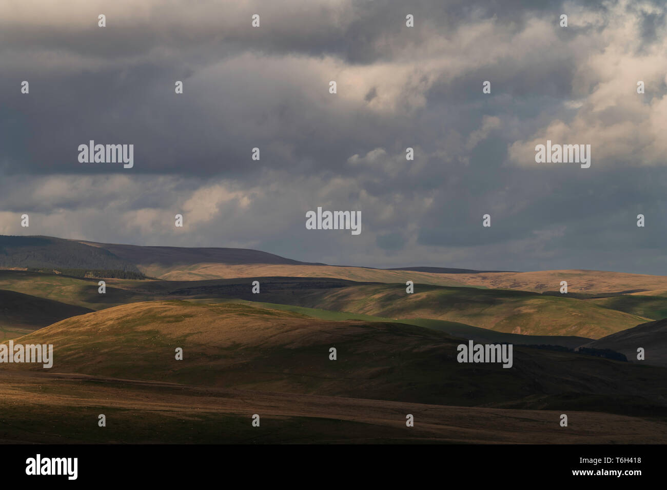 Otterburn Training Area High Resolution Stock Photography and Images ...