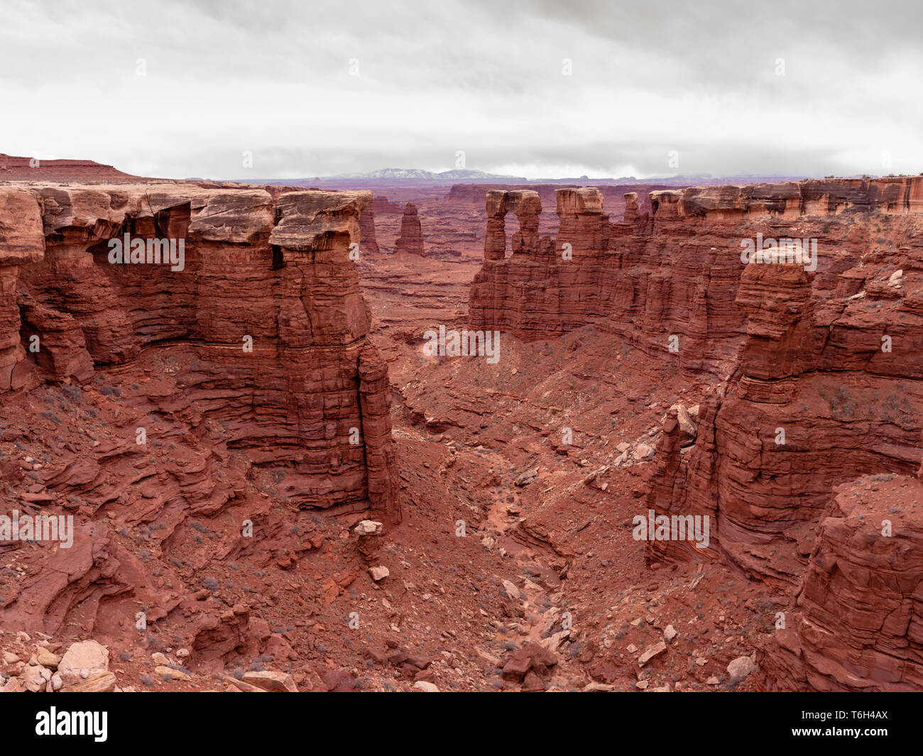 View down a canyon on an overcast day. Along the White Rim Road ...