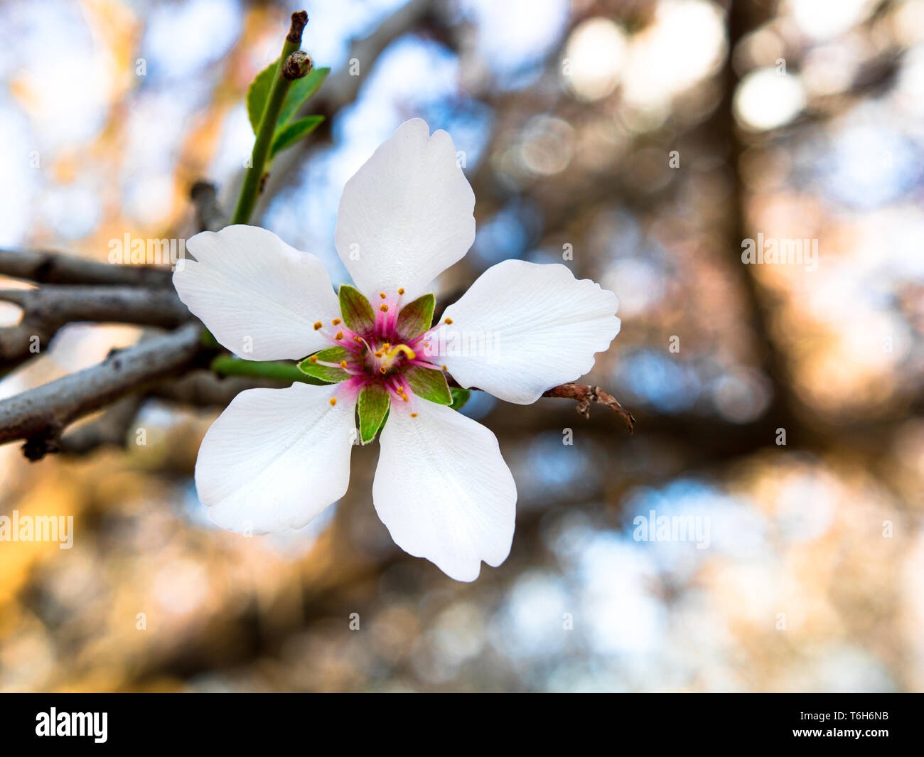 Stockphoto art hi-res stock photography and images - Alamy