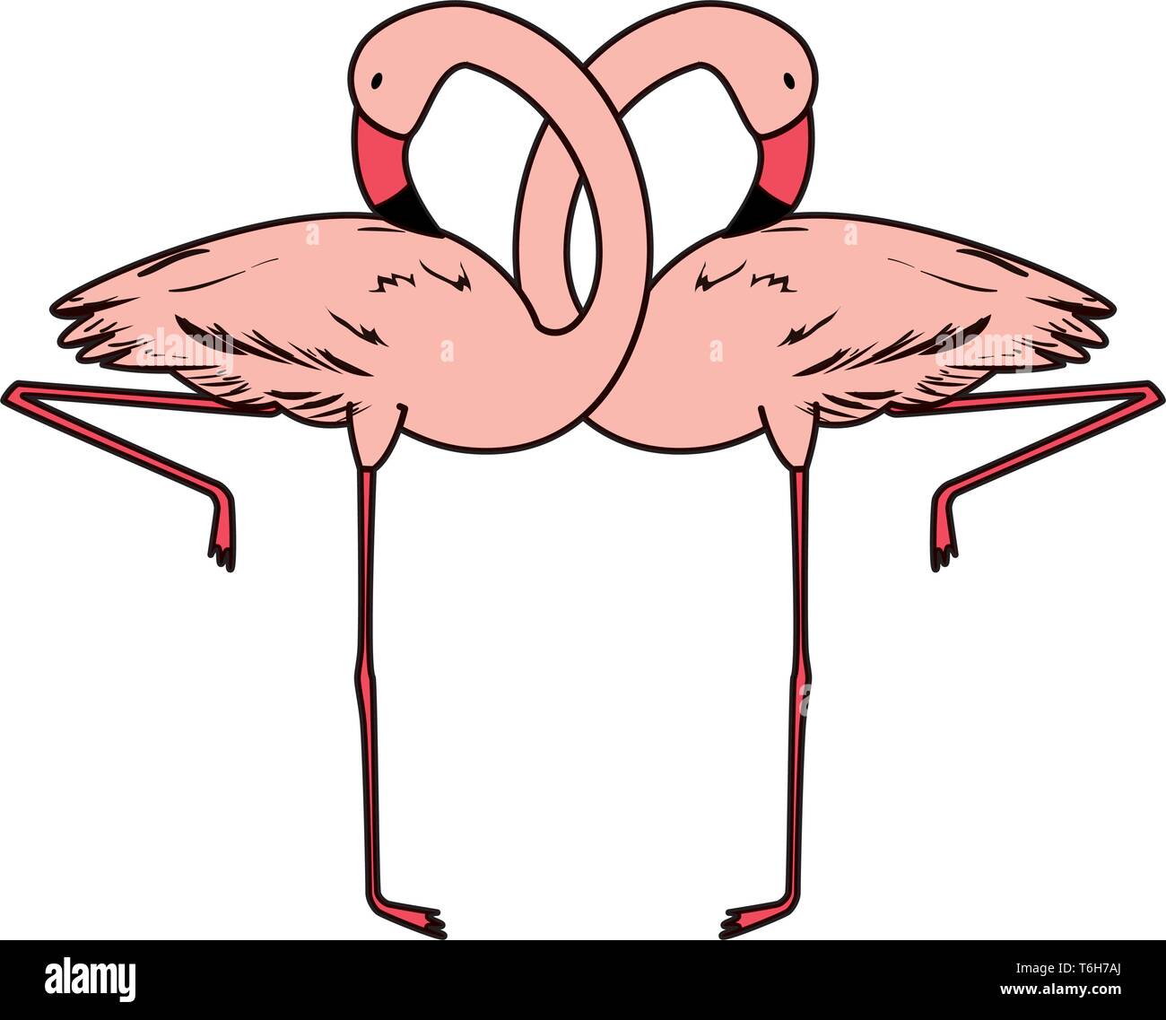 Exotic Flemish Couple Birds Stock Vector Image And Art Alamy