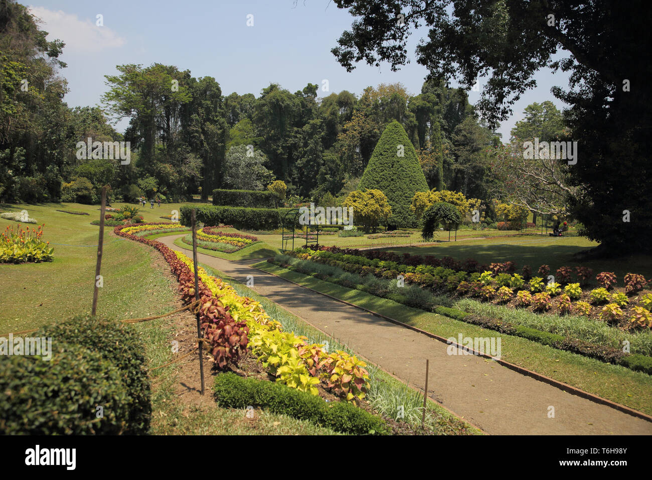 the royal botanic gardens in kandy sri lanka Stock Photo - Alamy