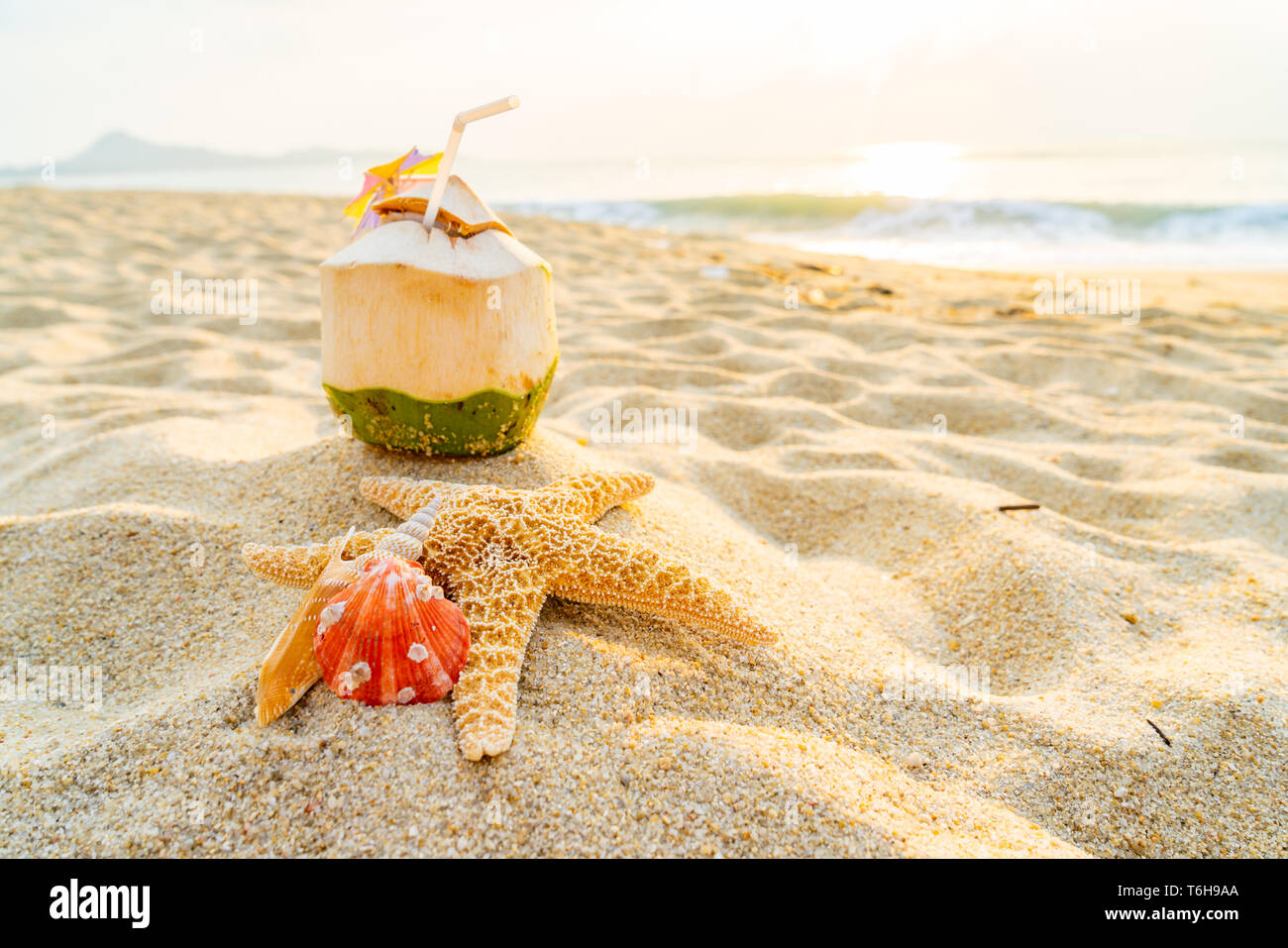 Coconut, seashell and Starfish at the tropical beach Stock Photo - Alamy