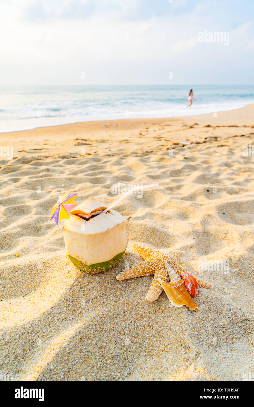 Coconut, seashell and Starfish at the tropical beach Stock Photo - Alamy