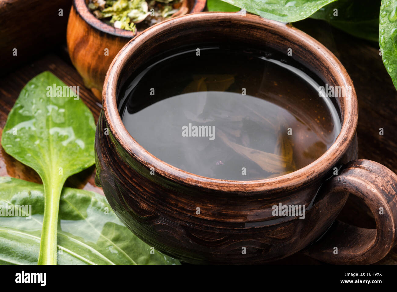 Plantain tea with fresh ribwort plantain leaves.Medicinal herbs.Cup of ...
