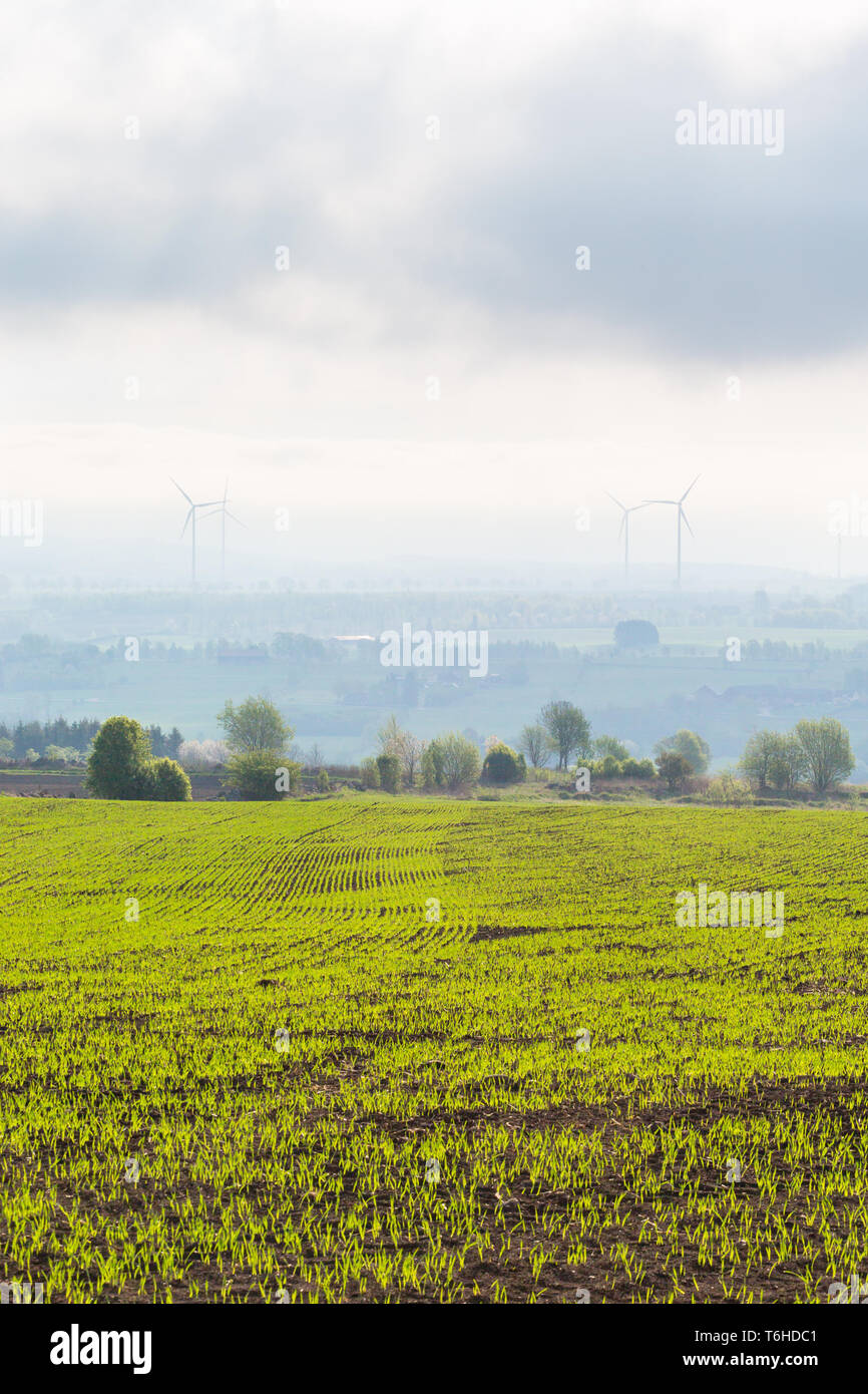 New sown field in spring Stock Photo - Alamy