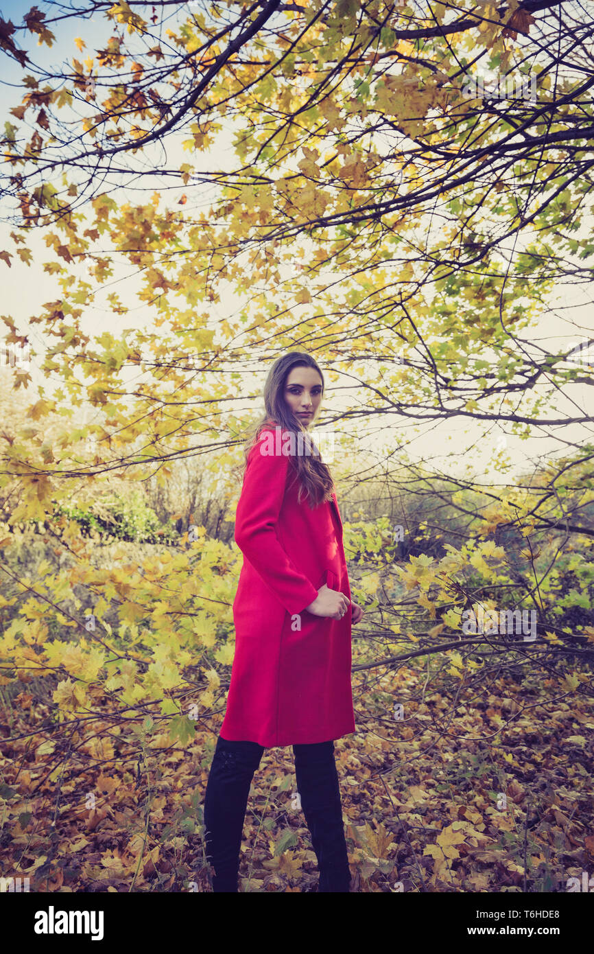Young beautiful woman in the forest looking around Stock Photo - Alamy