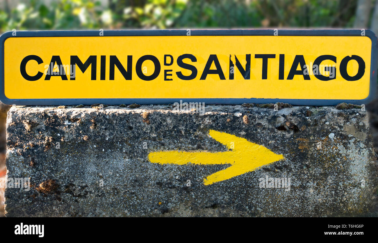 The traditional symbol of compostela hi-res stock photography and ...