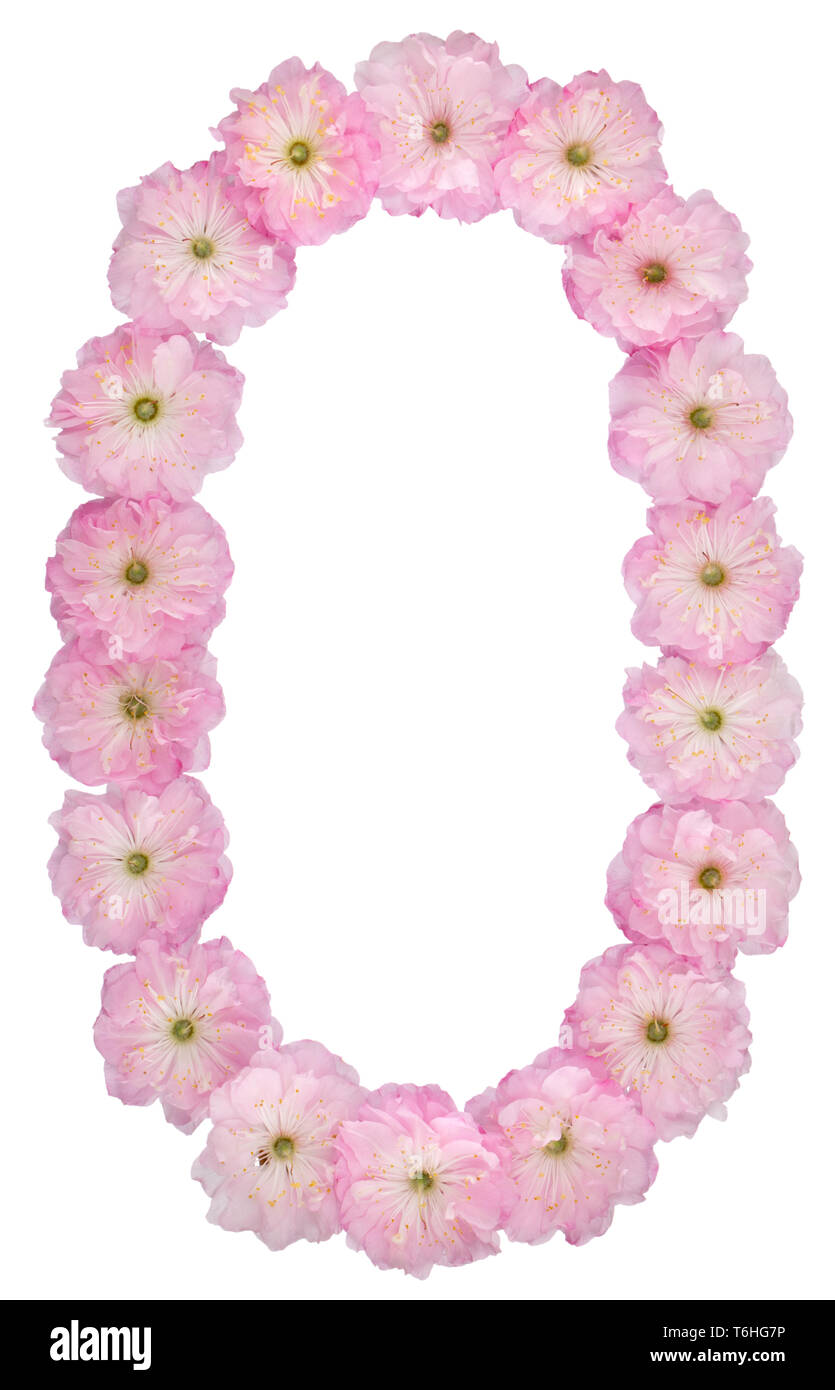 Numeral 0, zero, from natural pink flowers of almond tree, isolated on ...