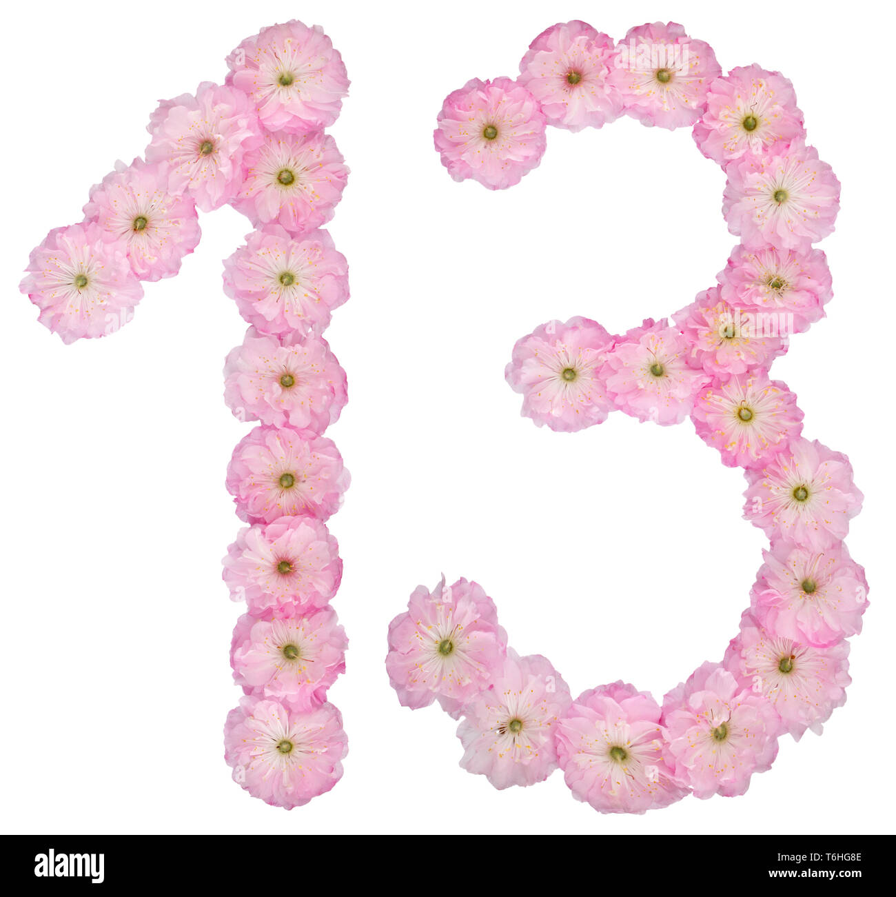 The Number 13 In Pink