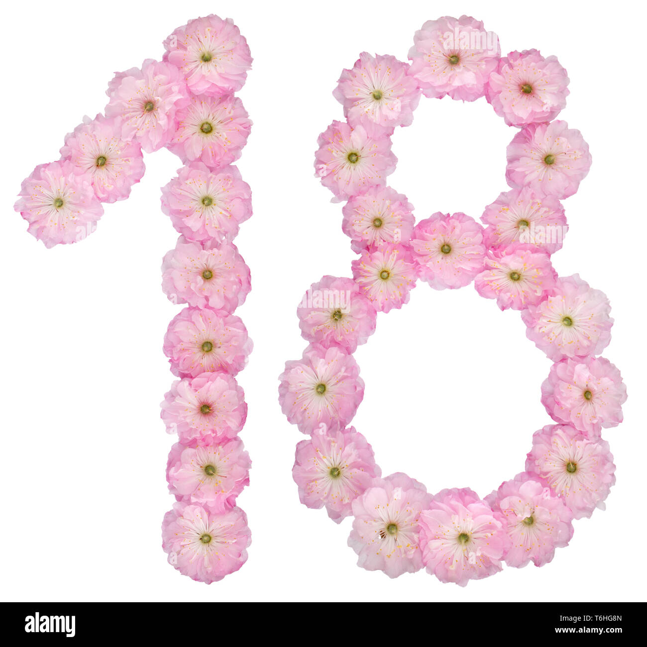 Numeral 18, eighteen, from natural pink flowers of almond tree ...