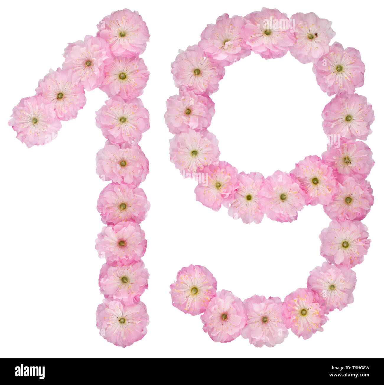 Numeral 19, nineteen, from natural pink flowers of almond tree ...