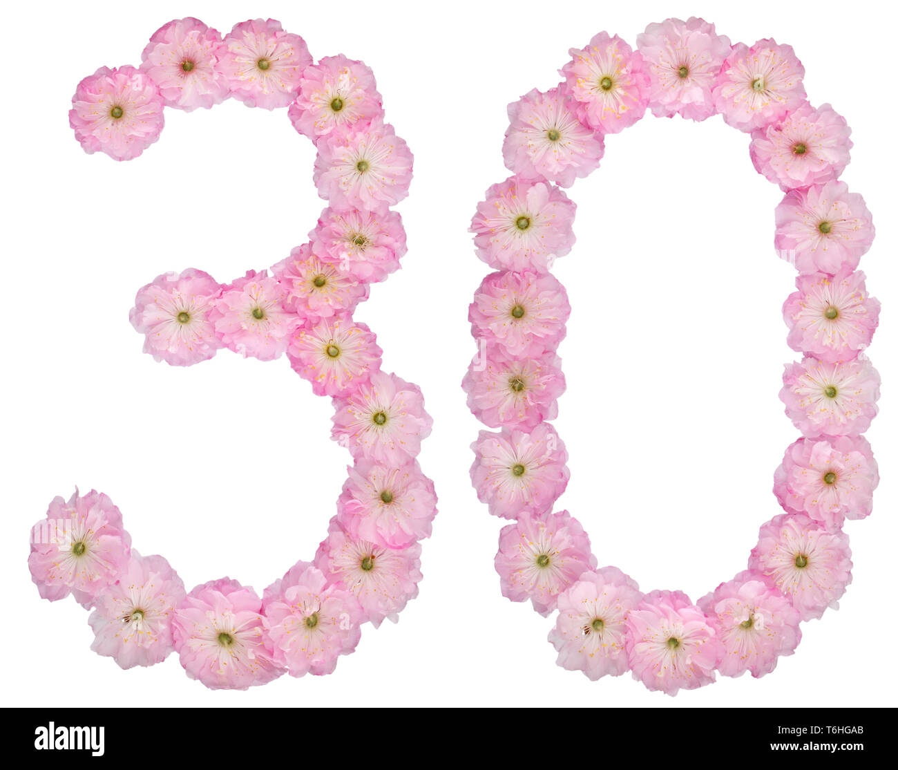 Numeral 30, thirty, from natural pink flowers of almond tree, isolated ...