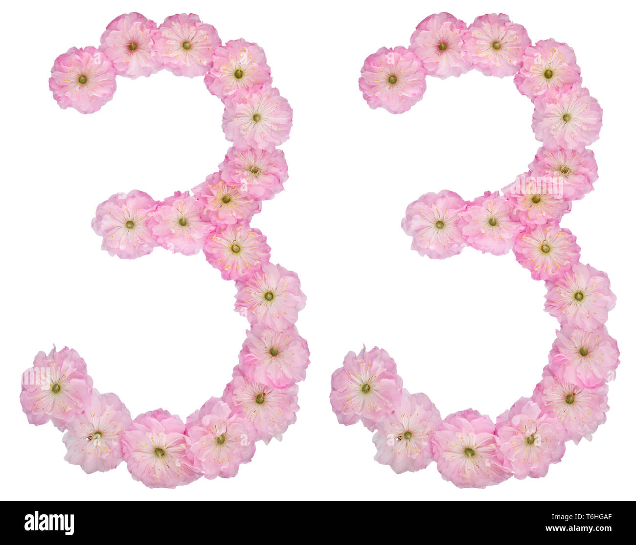 Numeral 33, thirty three, from natural pink flowers of almond tree ...