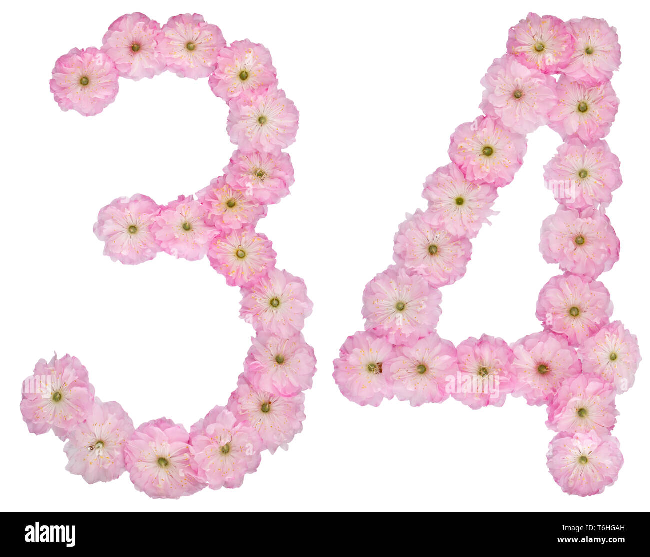 Numeral 34, thirty four, from natural pink flowers of almond tree ...