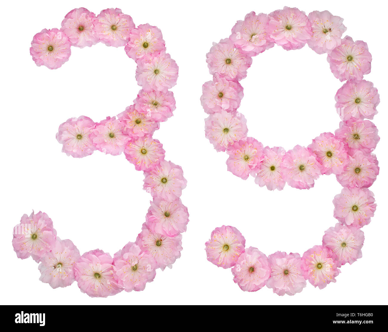 Numeral 39, thirty nine, from natural pink flowers of almond tree ...