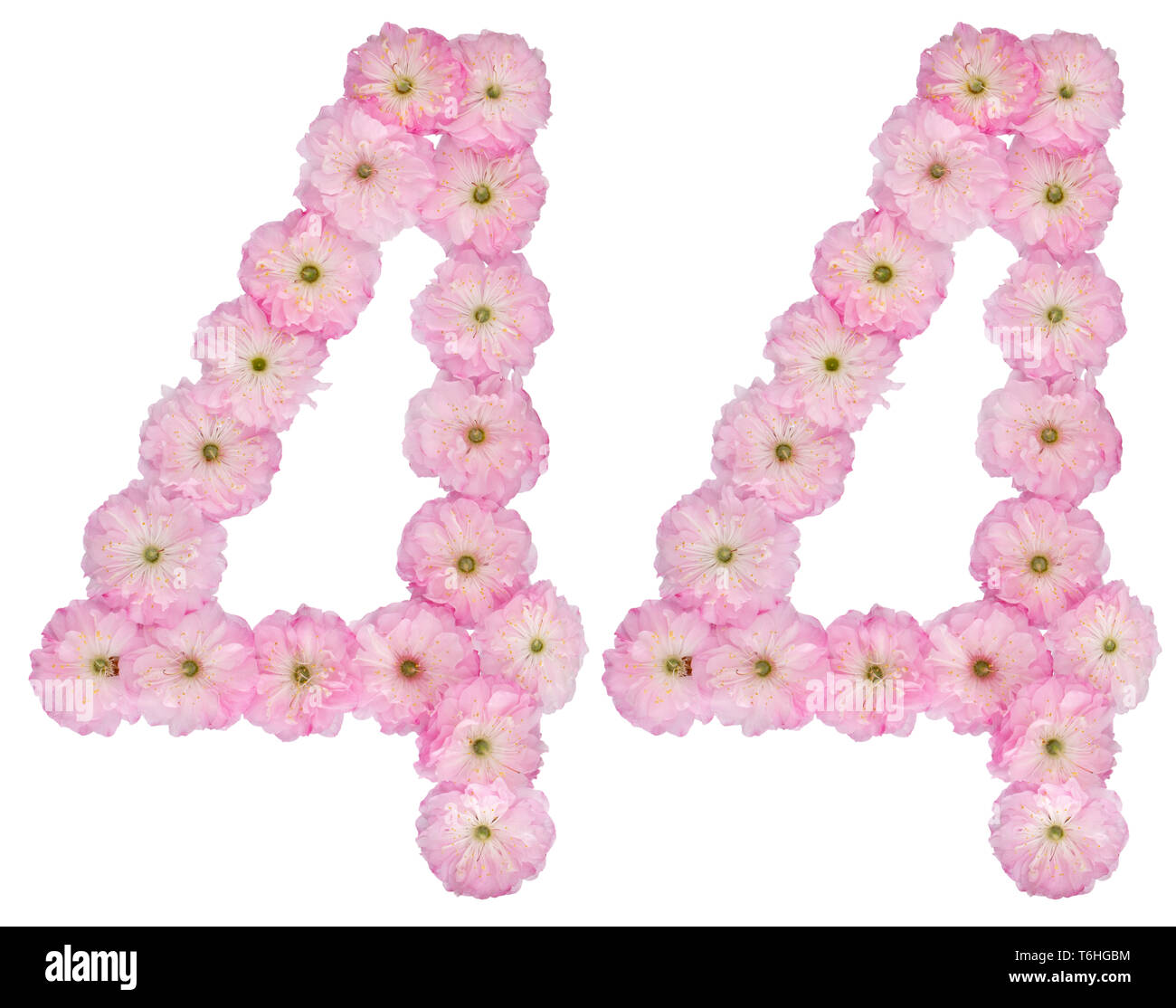 Numeral 44, forty four, from natural pink flowers of almond tree ...