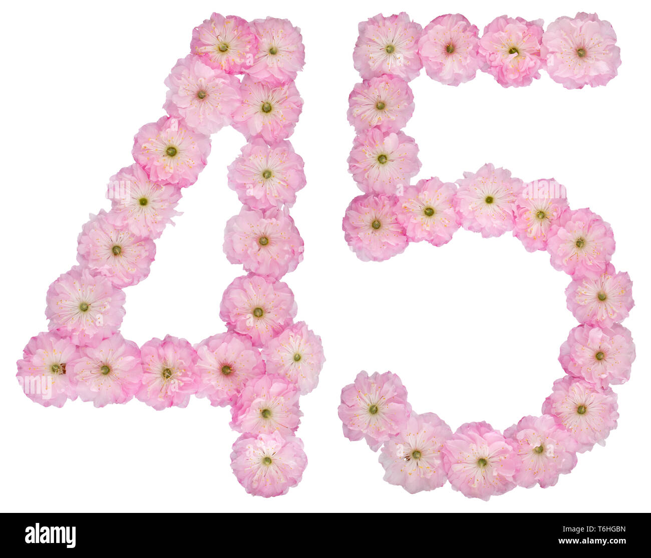 Numeral 45, forty five, from natural pink flowers of almond tree ...
