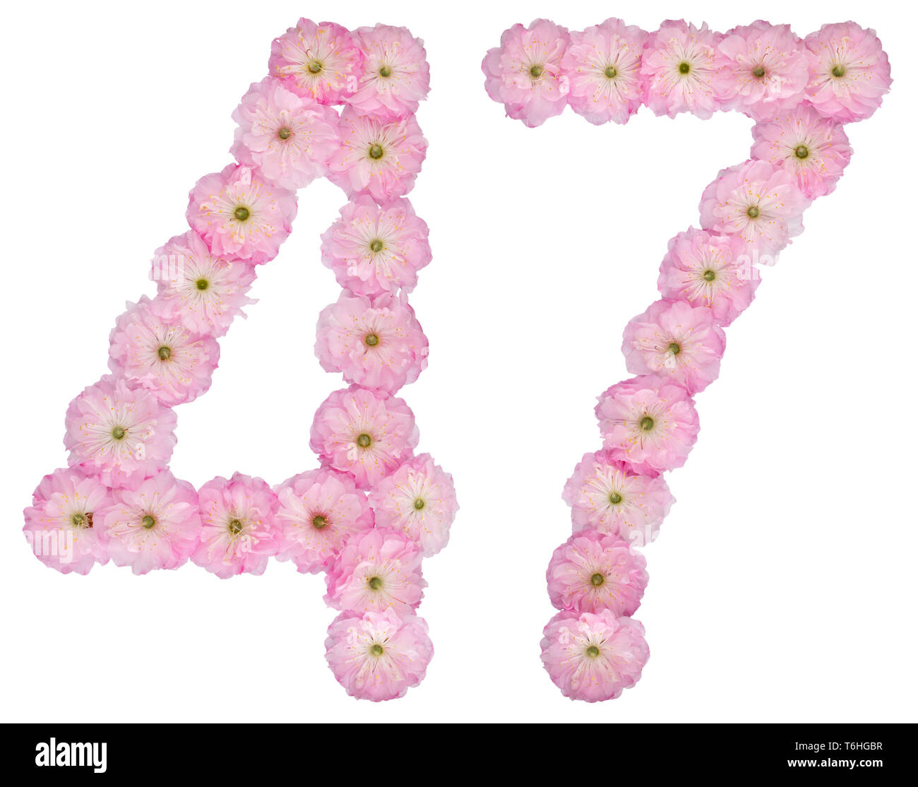 Numeral 47, forty seven, from natural pink flowers of almond tree ...