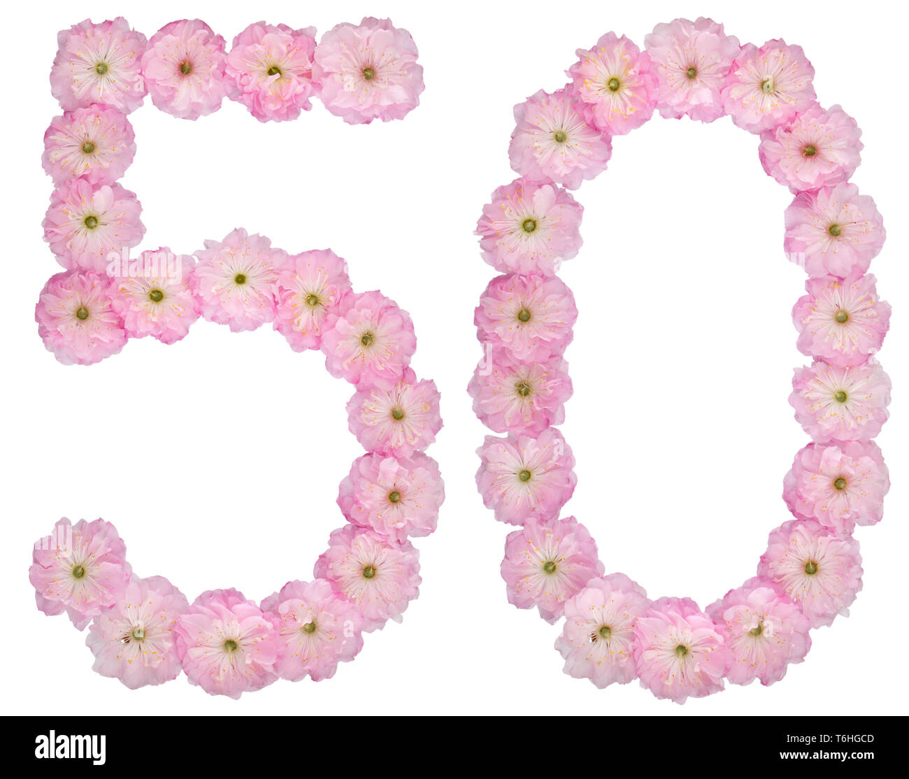 Numeral 50, fifty, from natural pink flowers of almond tree, isolated ...