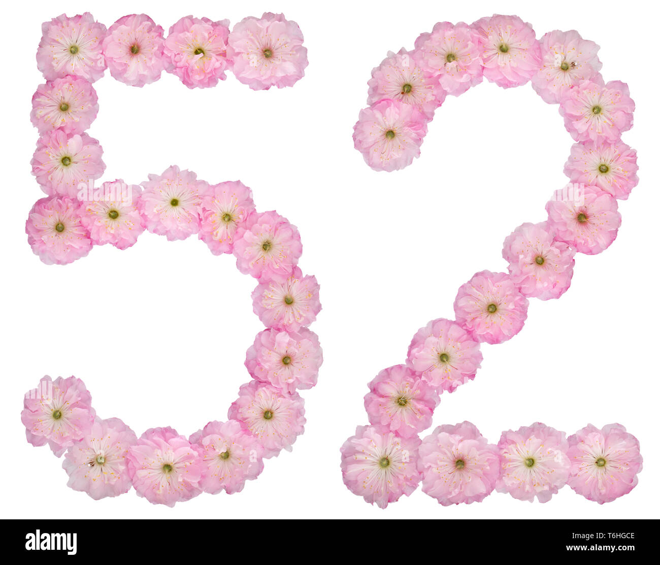 Numeral 52, fifty two, from natural pink flowers of almond tree ...