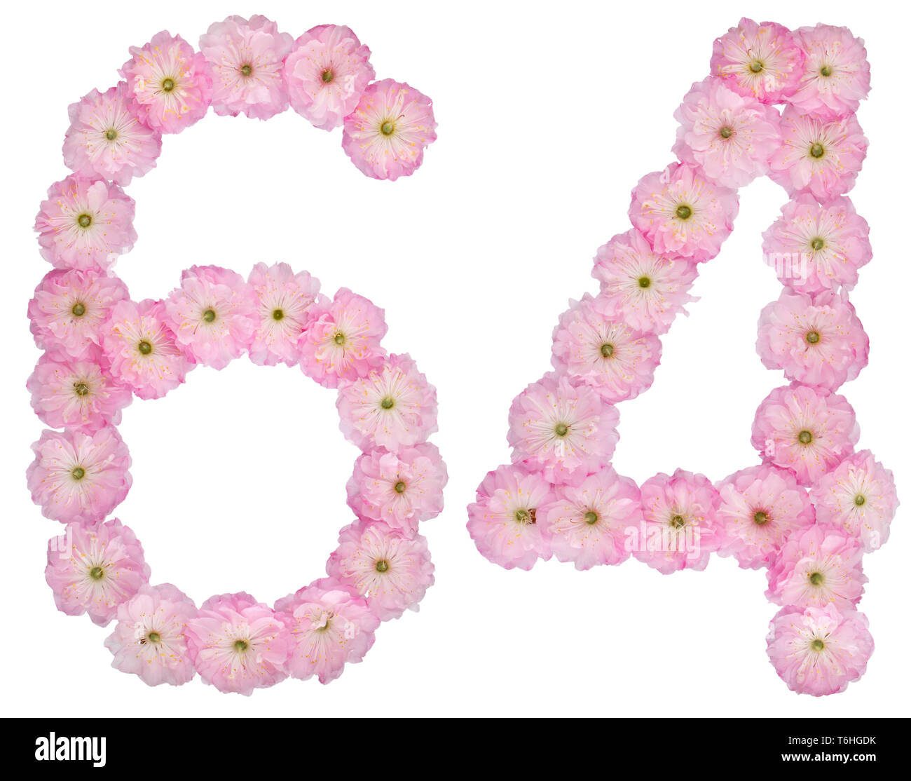 Numeral 64, sixty four, from natural pink flowers of almond tree ...