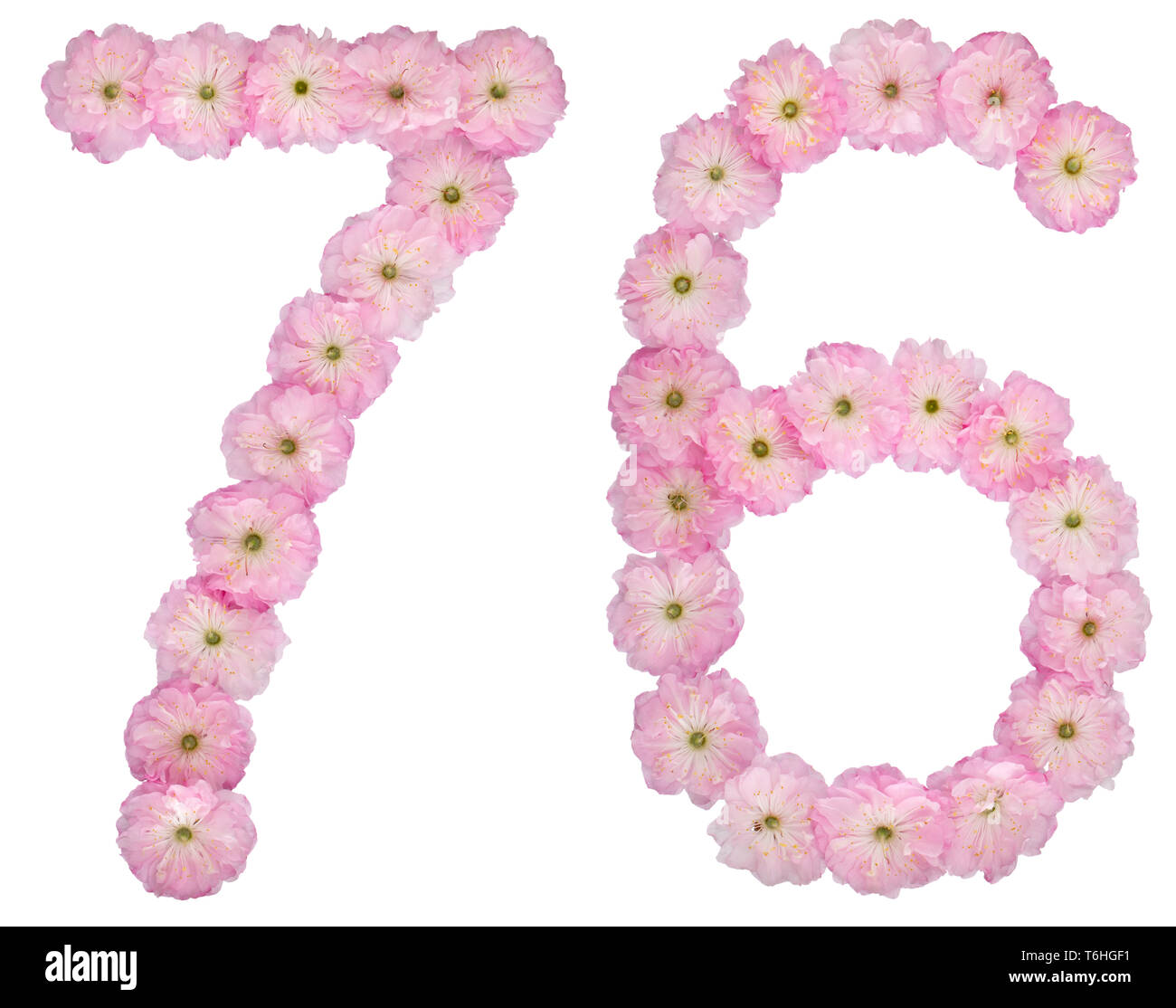 Numeral 76, seventy six, from natural pink flowers of almond tree ...