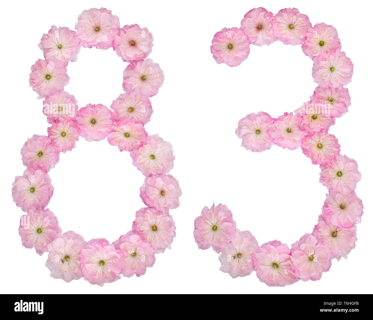 Numeral 83, eighty three, from natural pink flowers of almond tree ...