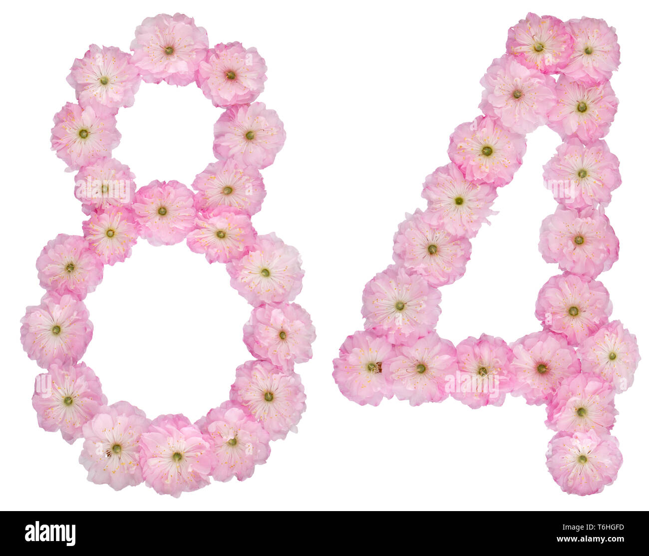 Numeral 84, eighty four, from natural pink flowers of almond tree ...