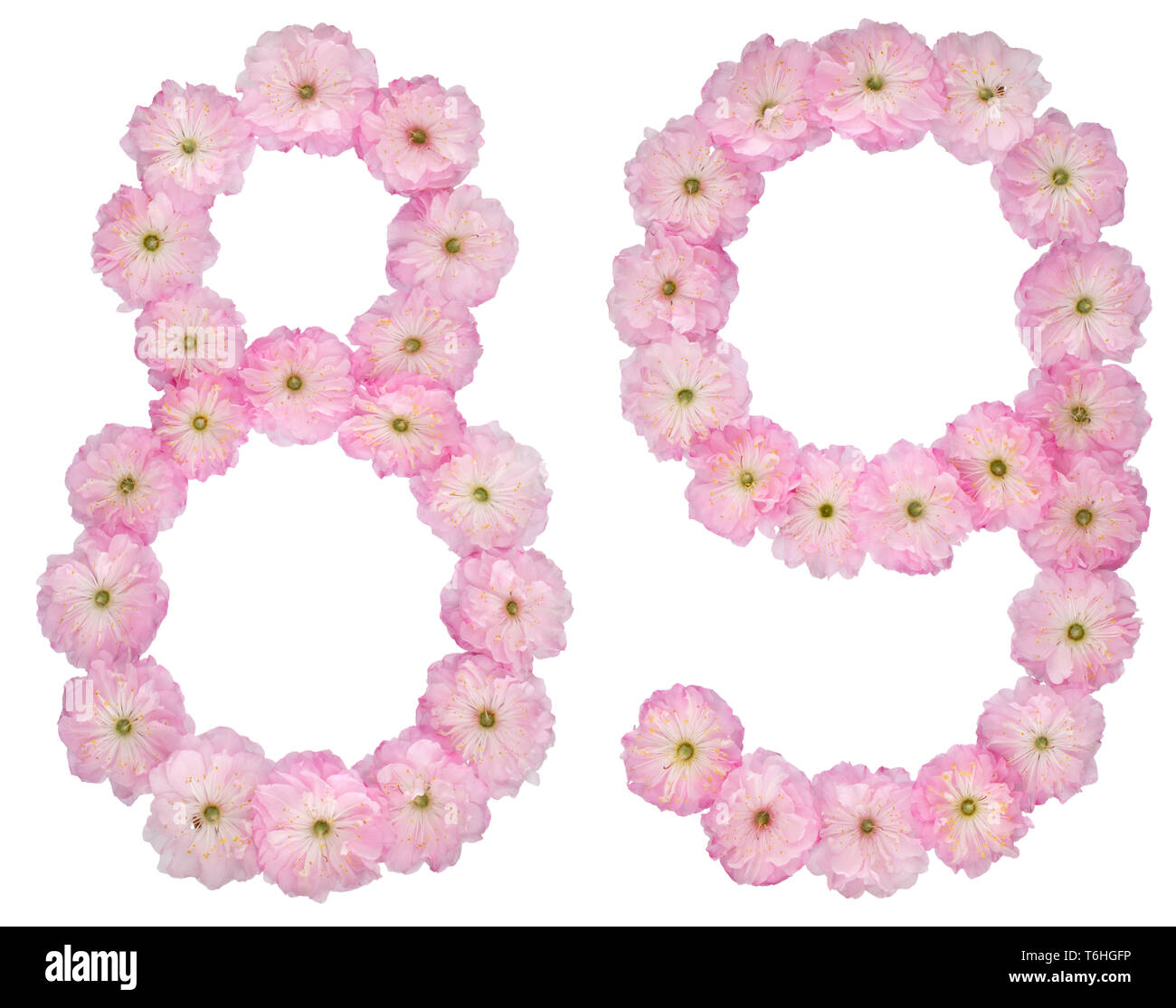 Numeral 89, eighty nine, from natural pink flowers of almond tree ...