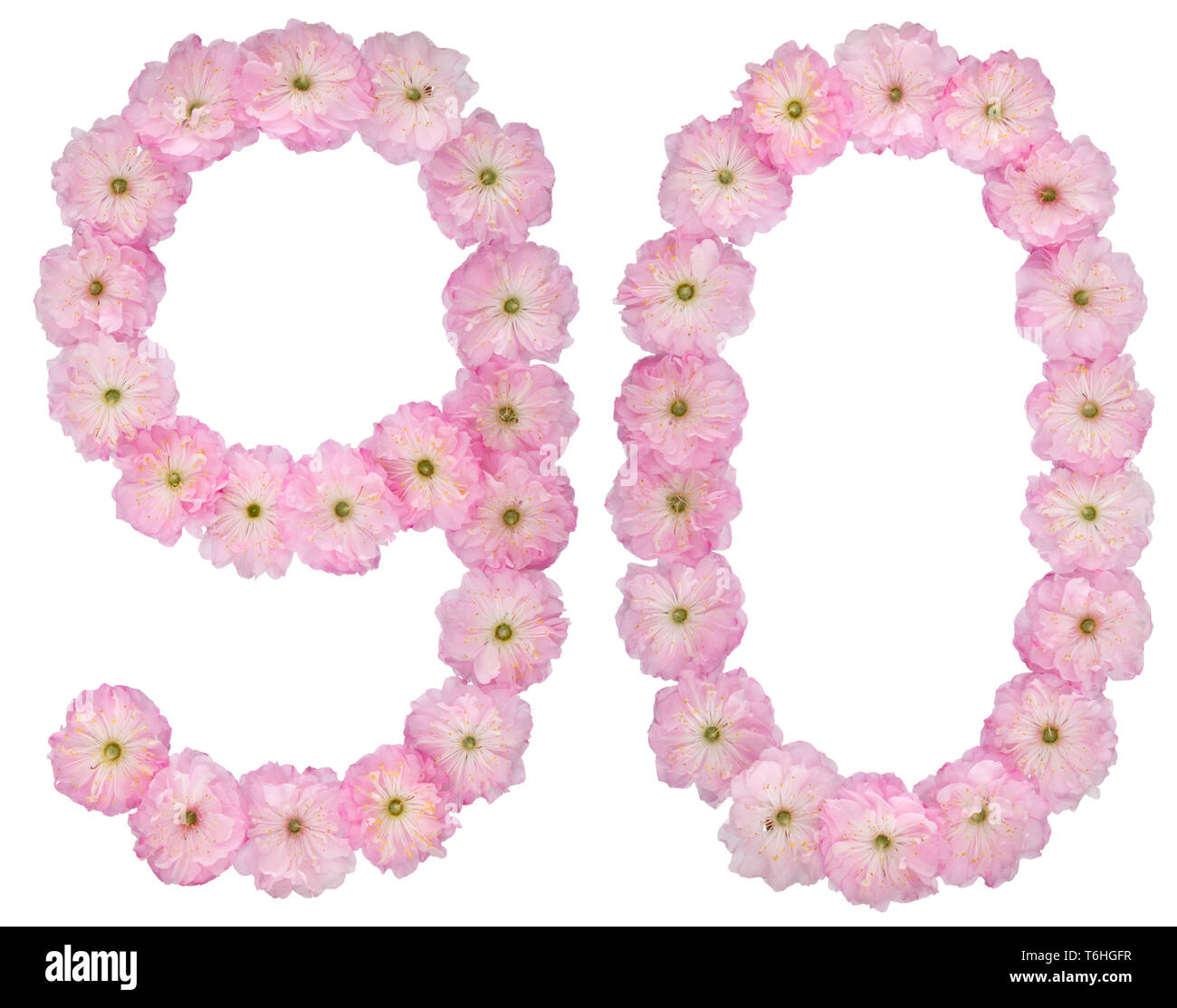 Numeral 90, ninety, from natural pink flowers of almond tree, isolated ...