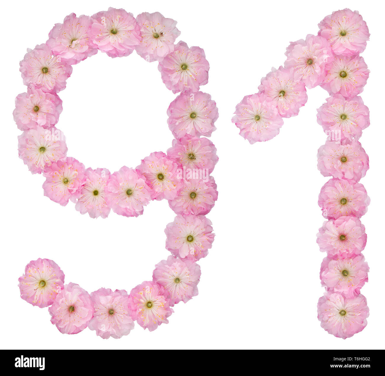 Numeral 91, ninety one, from natural pink flowers of almond tree, isolated on white background ...