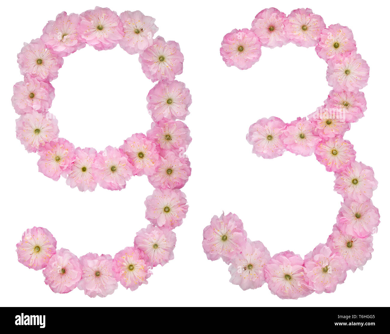 Numeral from 93, ninety three, natural pink flowers of almond tree ...