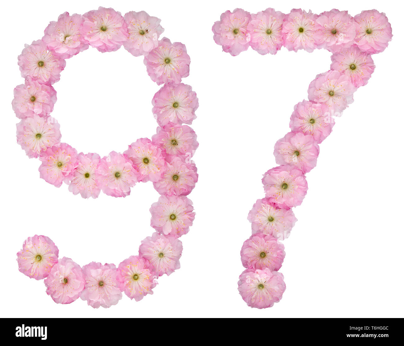 Numeral 97, ninety seven, from natural pink flowers of almond tree ...