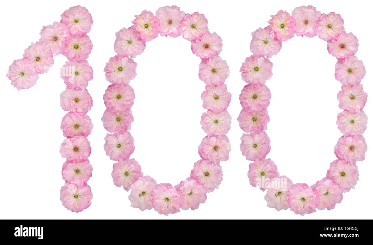 Numeral 100, one hundred, from natural pink flowers of almond tree ...