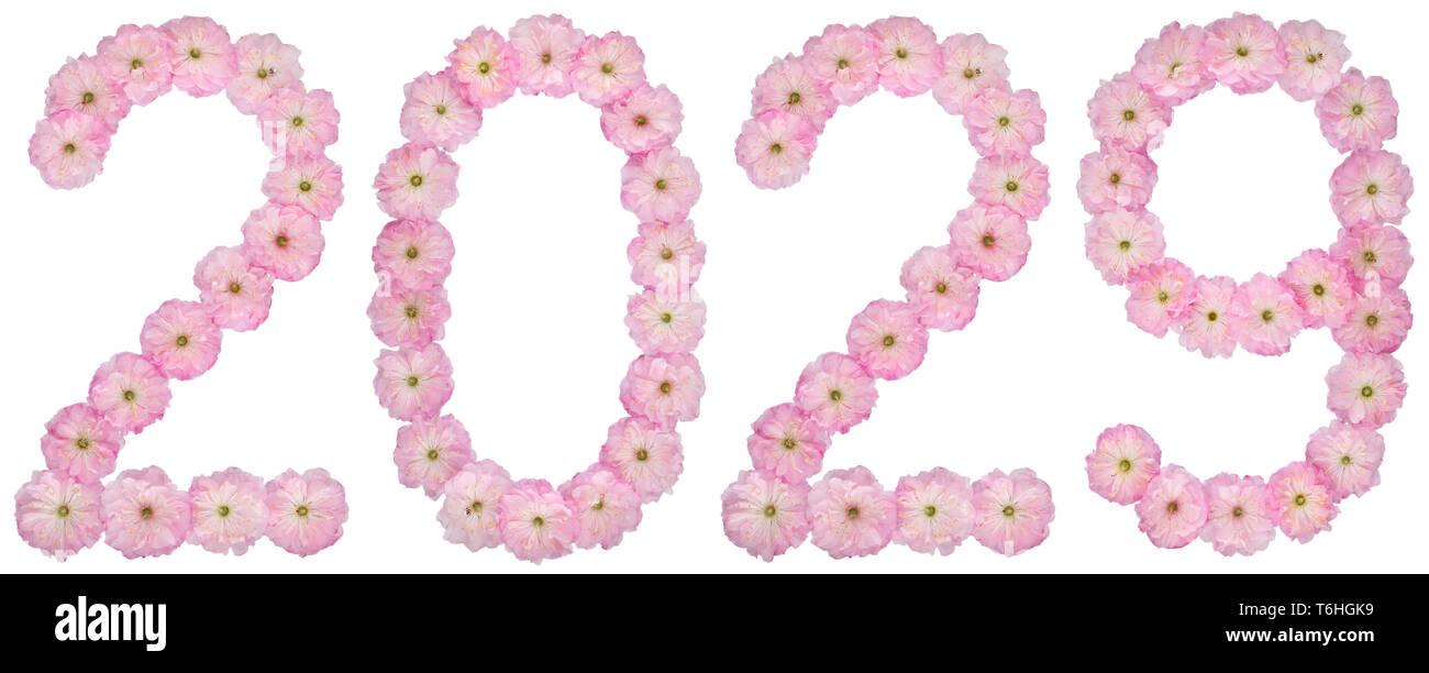 Inscription 2029, from natural pink flowers of almond tree, isolated on ...