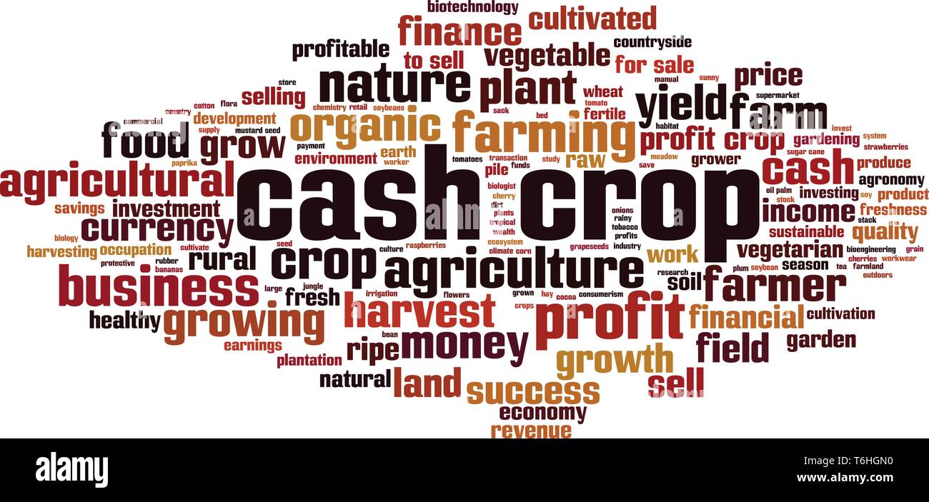 Cash crop word cloud concept. Collage made of words about cash crop ...