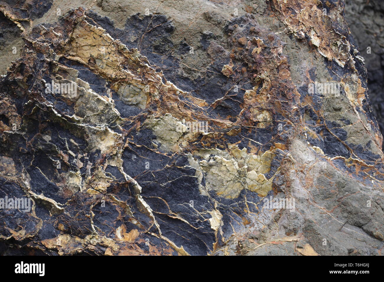 Intrusive Basalt Geology at St Monans, Fife, Scotland, UK. Natural ...