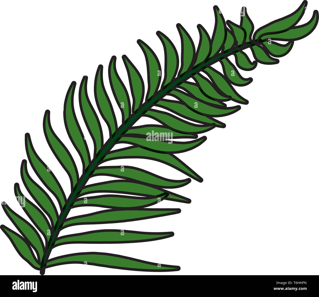 exotic leaf plant icon Stock Vector Image & Art - Alamy