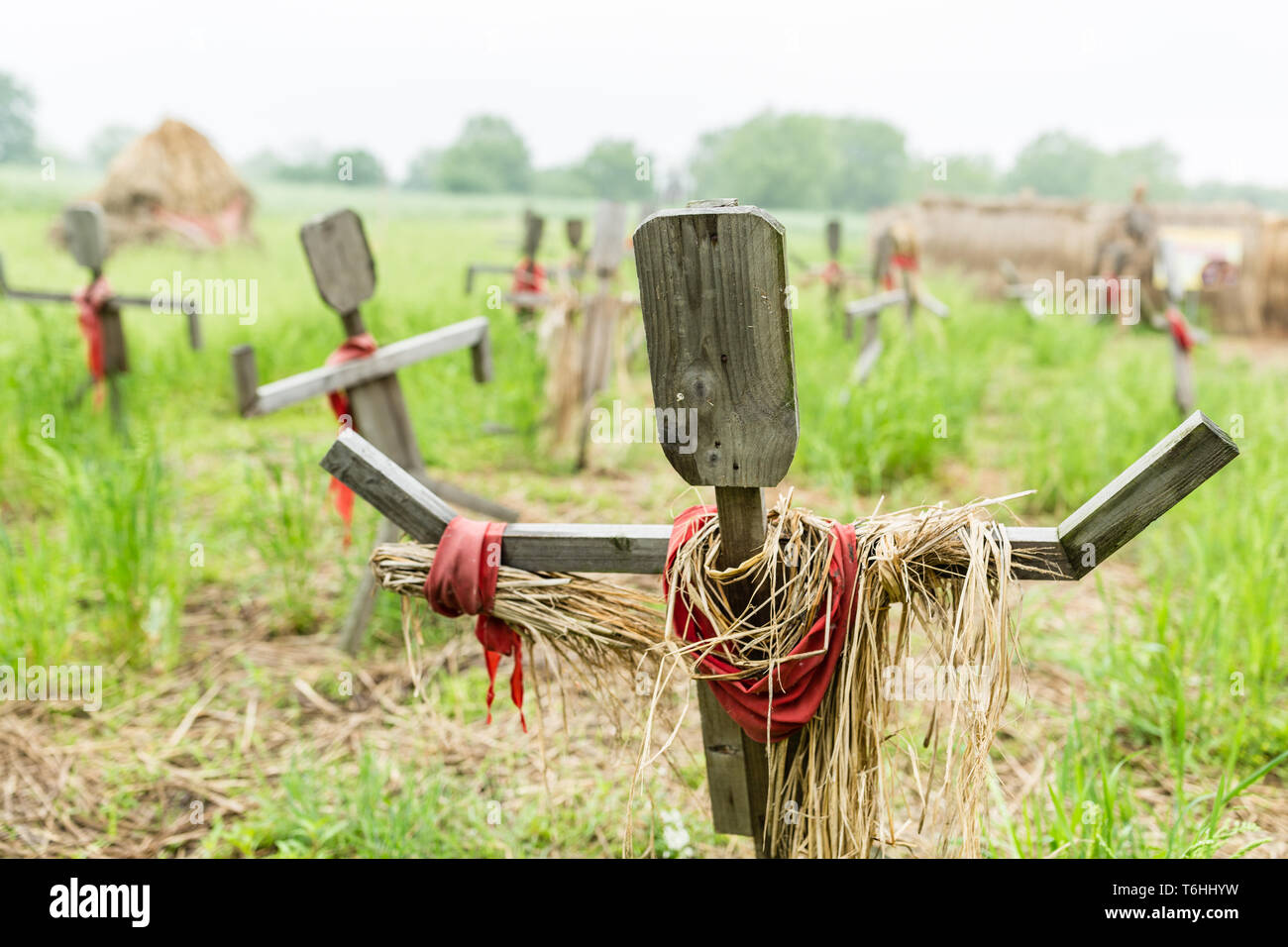 Straw scarecrow in rice field hi-res stock photography and images - Alamy