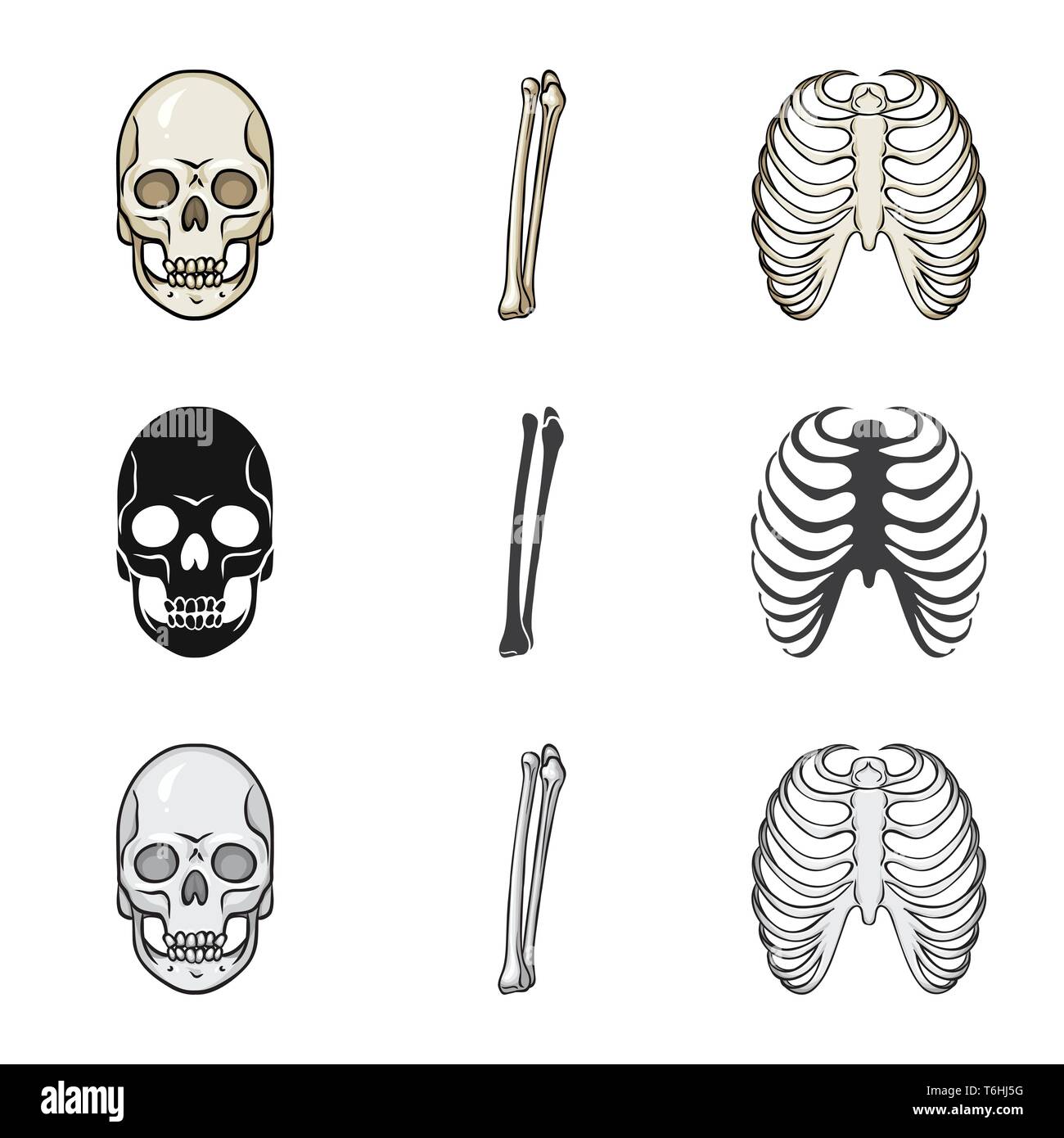 skull,femur,rib,death,cage,monster,leg,xray,evil,knee,body,horror,tibia ...