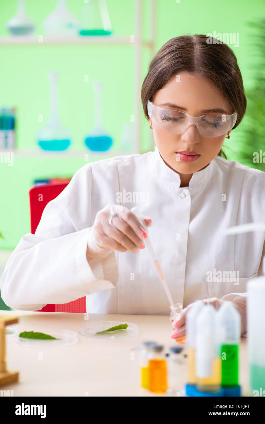 Beautiful female scientist examining hi-res stock photography and ...