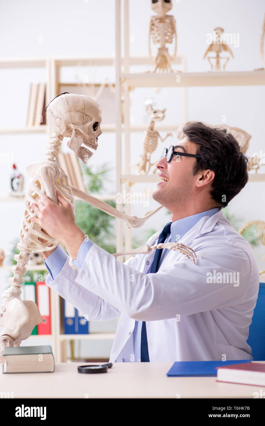 Crazy professor studying human skeleton Stock Photo - Alamy