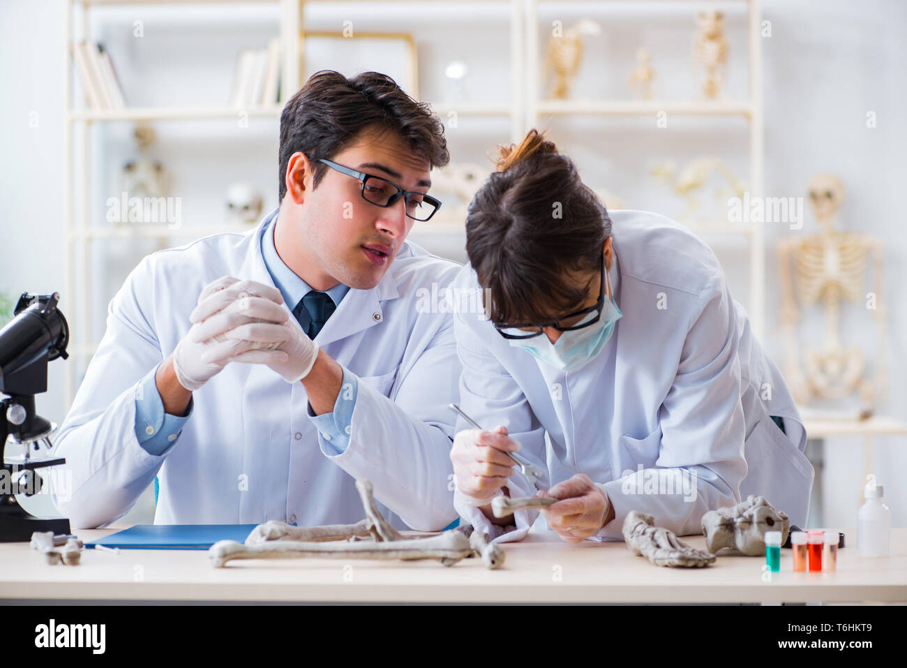 Human remains lab hi-res stock photography and images - Alamy